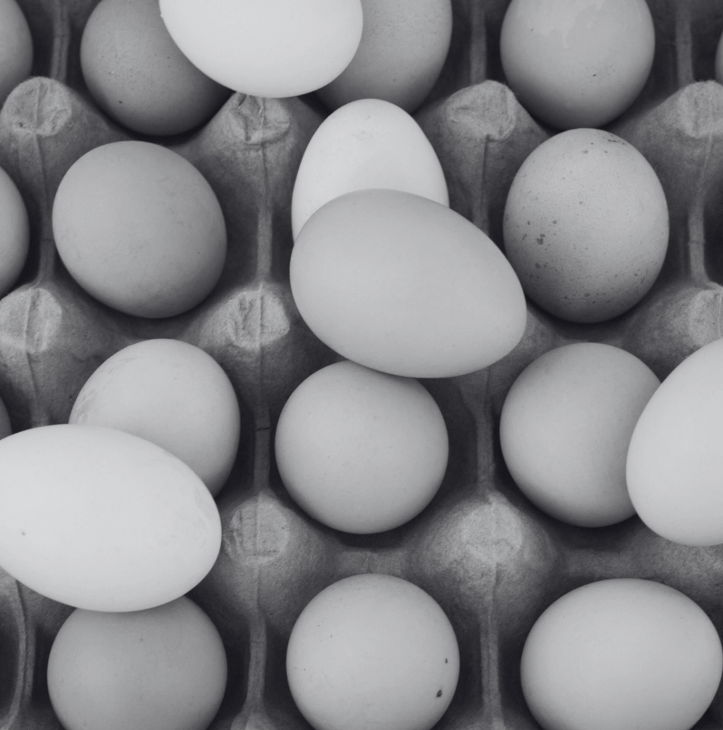 Supplements To Improve Egg Quality